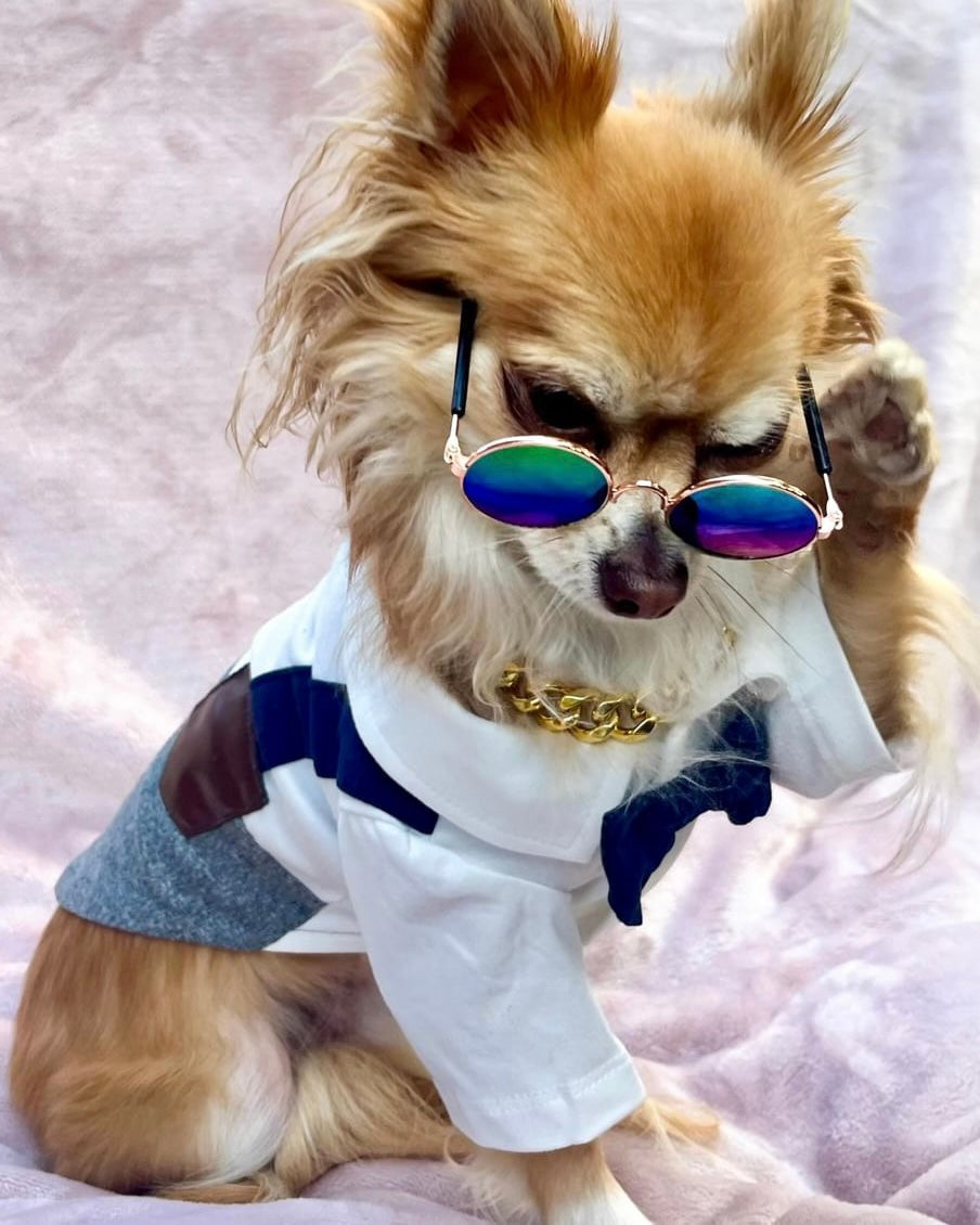 Henry Button Up Shirt – tinypawcouture