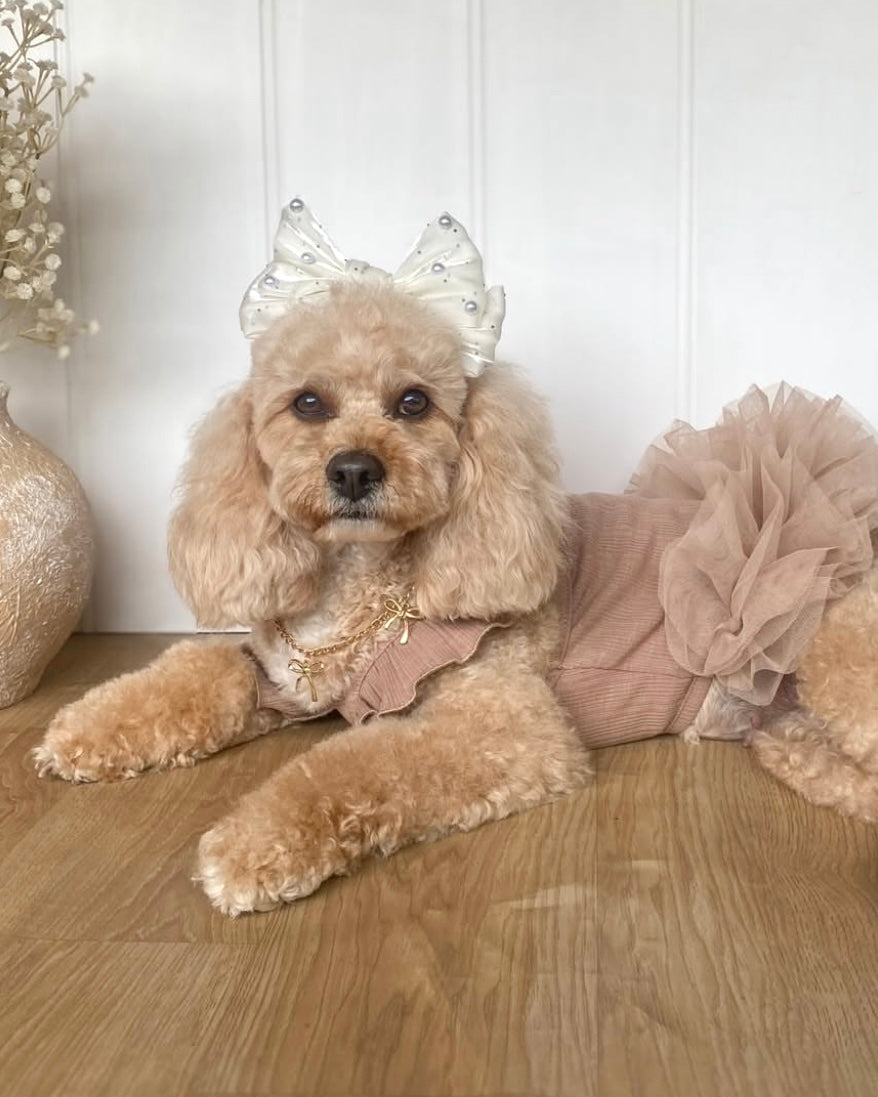 Grace Coco Tutu Dress – tinypawcouture