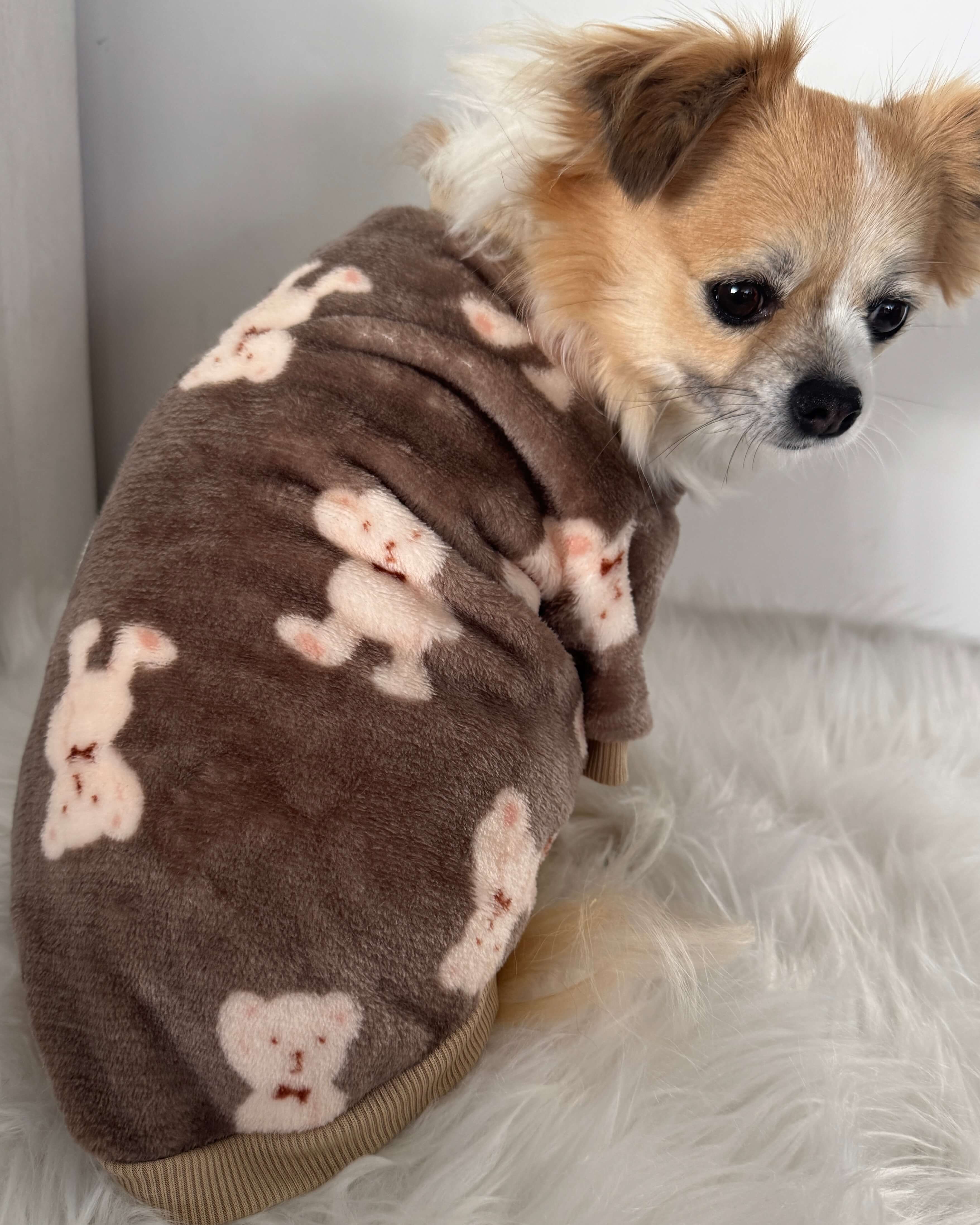 Brown Teddy Snuggle Jumper – tinypawcouture