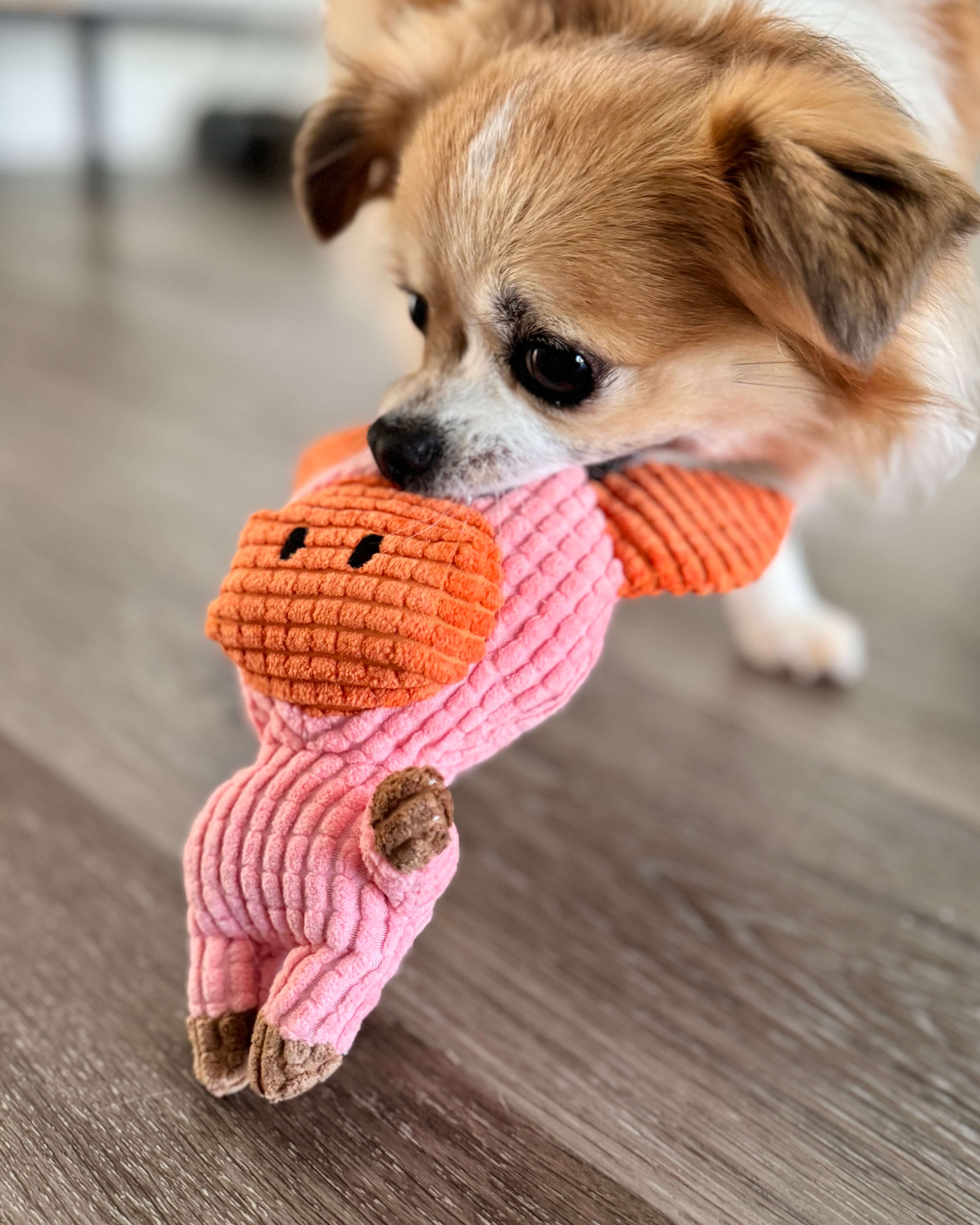 Mr Oinker - with squeeker and crackle sound ears – tinypawcouture