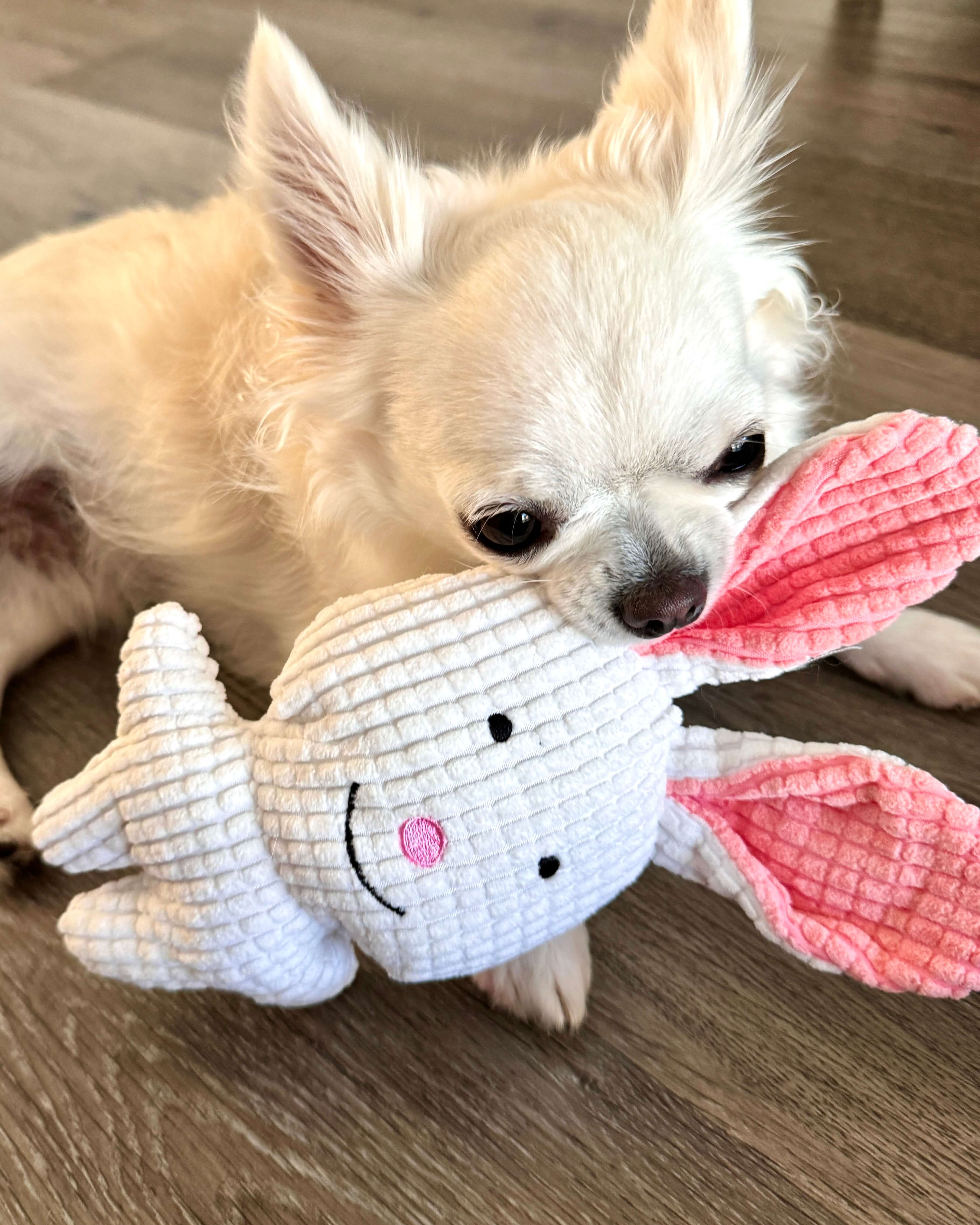 Waskily Wabbit - with squeeker and crackle sound ears – tinypawcouture